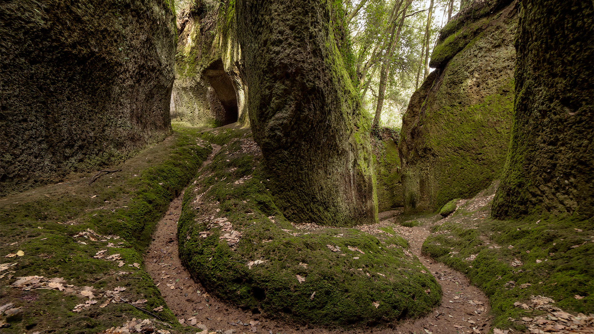 ITINERARIO IV "La via cava di San Rocco" - Tuscan Trail